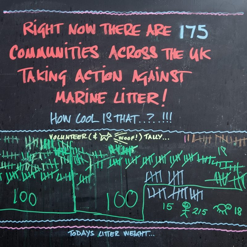 Big Spring Beach Clean Gallery - Surfers Against Sewage