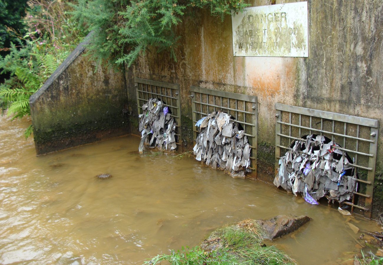 ‘I feel I’m playing sewage roulette each time I enter the water’
