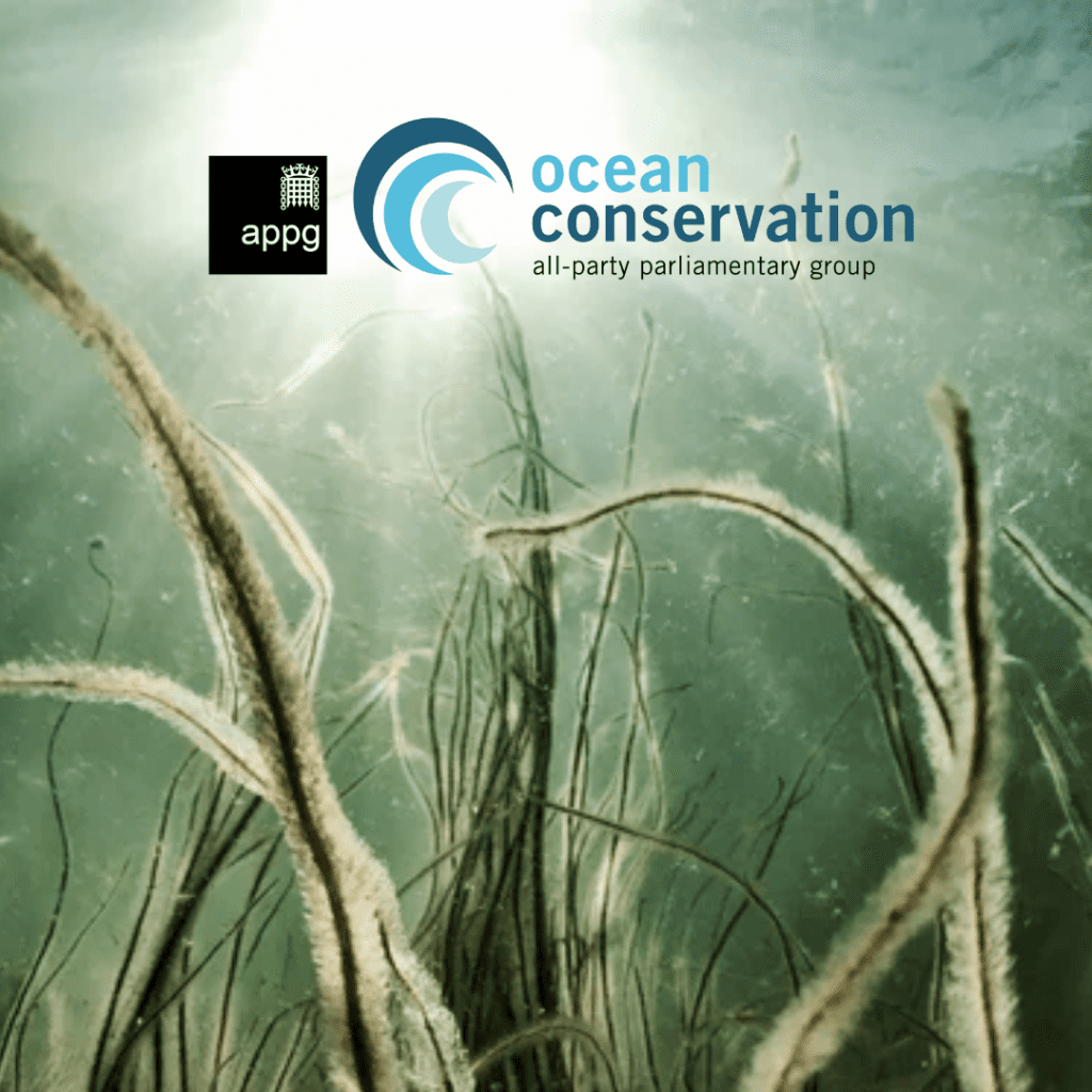 MPs Come Together to Support Ocean Recovery that Works for People and ...
