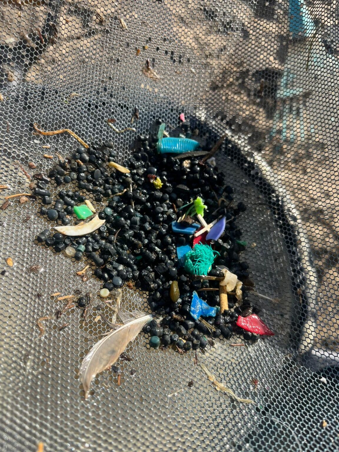 Toxic bio-beads wash up at Camber Sands - Surfers Against Sewage